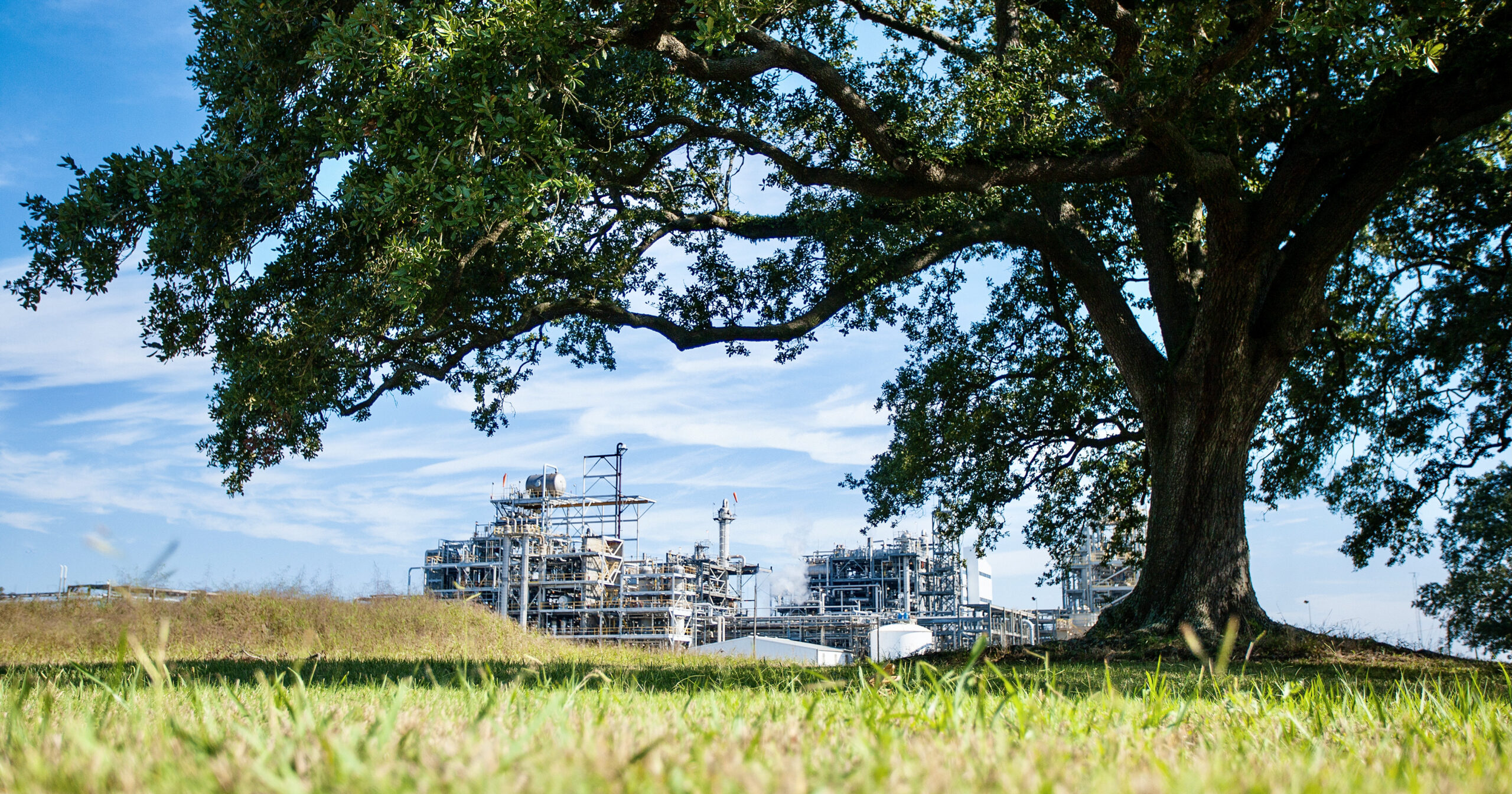 BASF Announces $19.8 Million Geismar Plant Expansion - LED | Louisiana ...