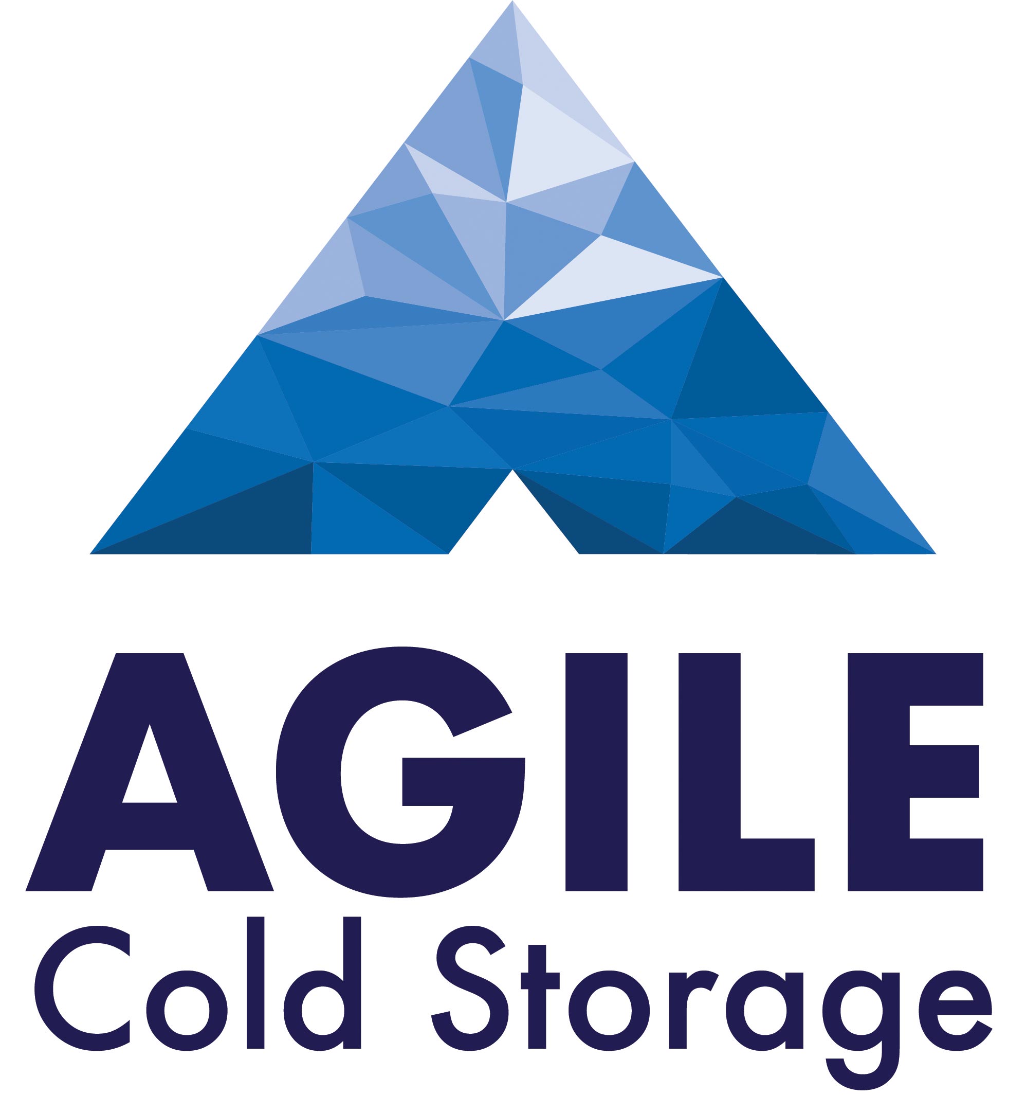 Georgia-Based Cold Storage Company to Build $45.9 Million Facility in ...